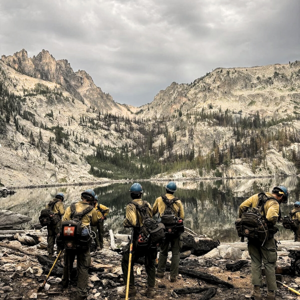 How Wildfires Are Contained: Inside the Tactics Used by Wildland ...